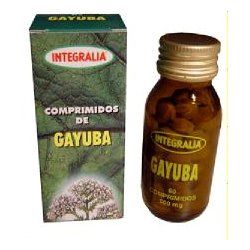 Gayuba | fitoterapia.net